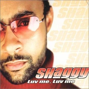 Shaggy:Luv Me Luv Me | The Real American Top 40 Wiki | Fandom