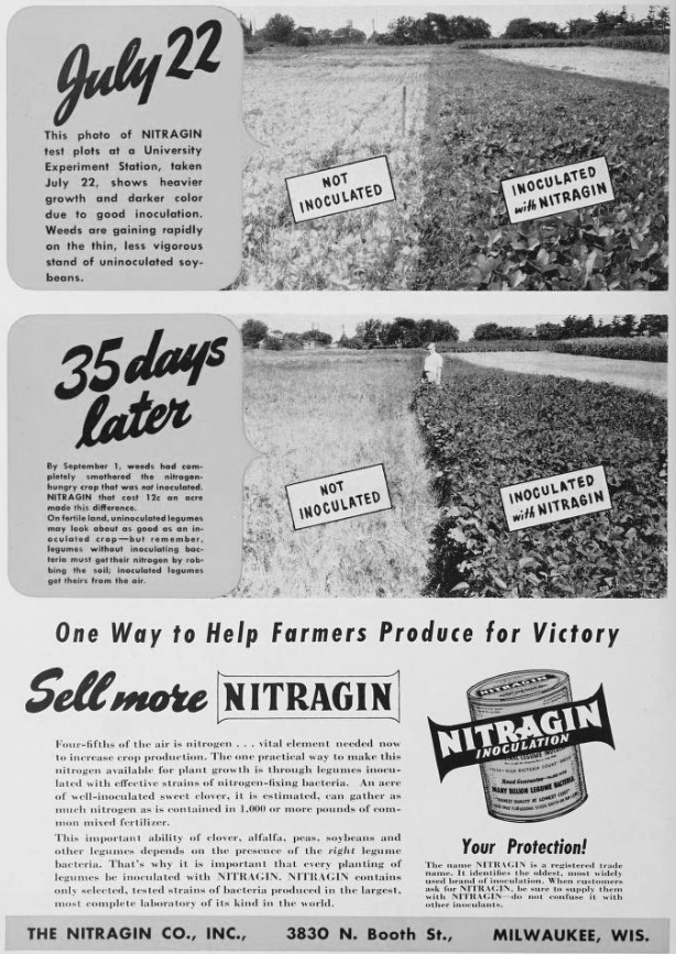 Nitragin Company | MyCompanies Wiki | Fandom