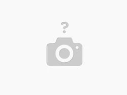 MYCUN Rebellion | Geo G. Wiki | Fandom