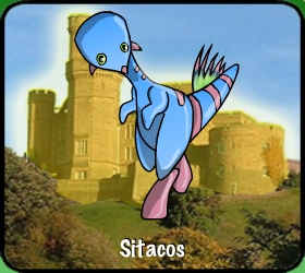 Sitacos | MyDinos Wiki | Fandom