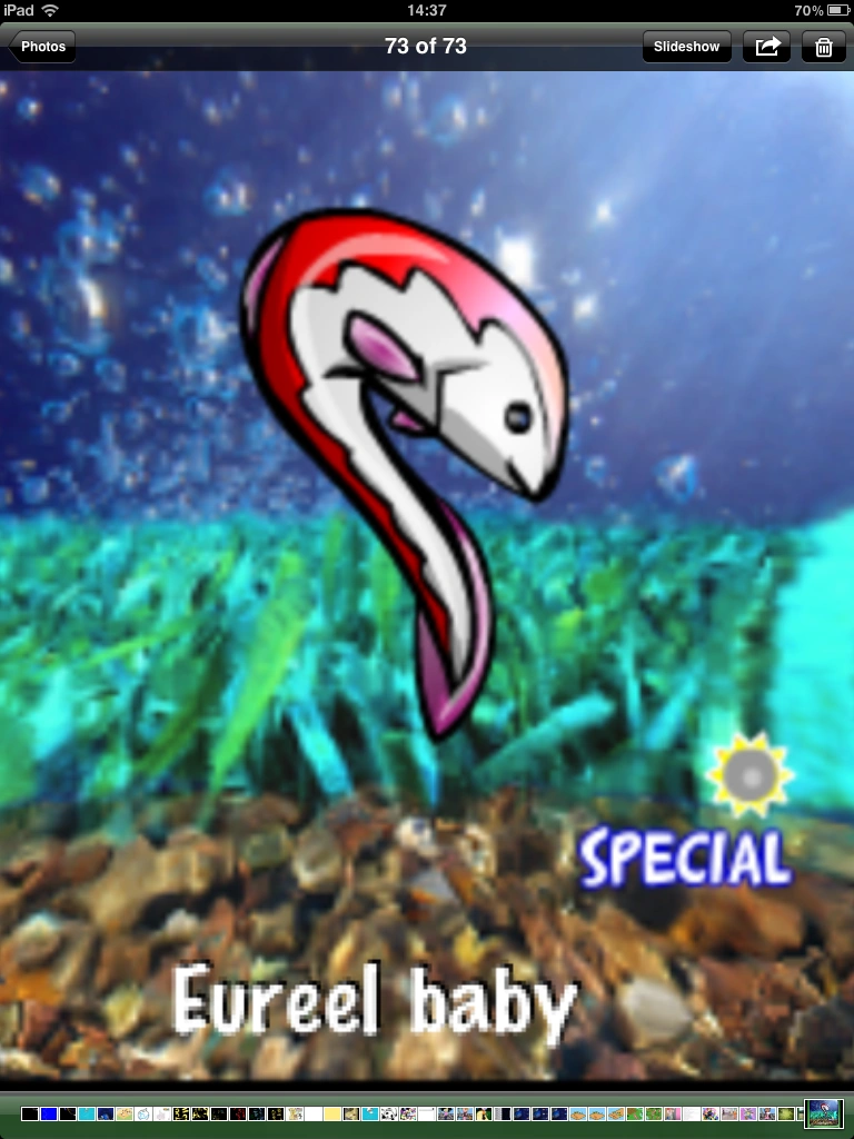 Eureel baby | MyDinos Wiki | Fandom