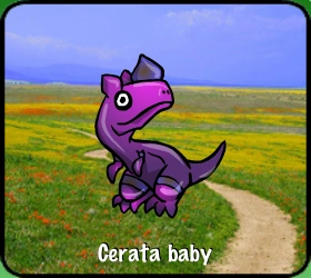 Cerata baby | MyDinos Wiki | Fandom
