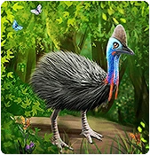 Helmkasuar | Myfreezoo Wiki | Fandom