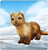 Zobel | Myfreezoo Wiki | Fandom