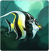 Halfterfisch | Myfreezoo Wiki | Fandom