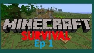Minecraft Survival (series) | MyGamersGame Wikia | Fandom