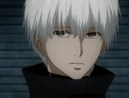 Haise Sasaki | Boku no Hero Academia Wiki | Fandom