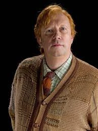 Mr. Weasley | My Immortal Wiki | Fandom