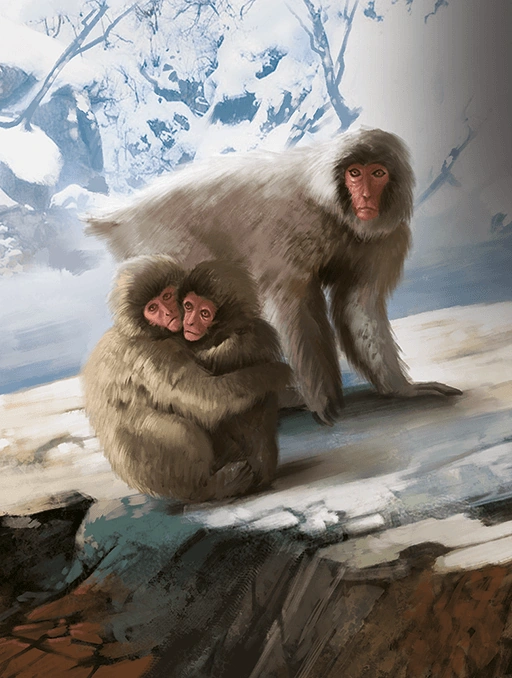 Saru | Wiki Mitos y Leyendas | Fandom