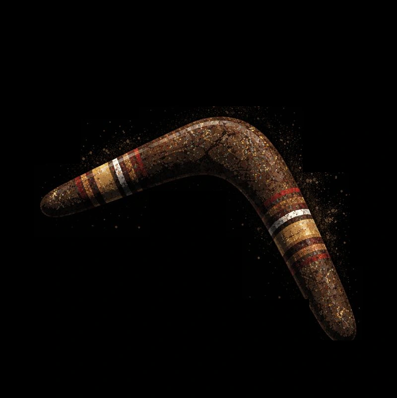 Boomerang | MyLastMatch Wiki | Fandom