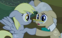 Derpy Hooves Gallery