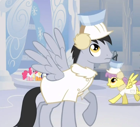 Snow Catcher | MyLittleBrony Wiki | Fandom