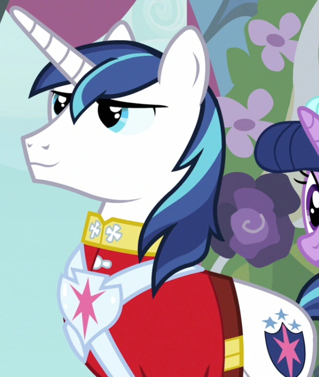 My Little Pony Twilight Sparkle Brother