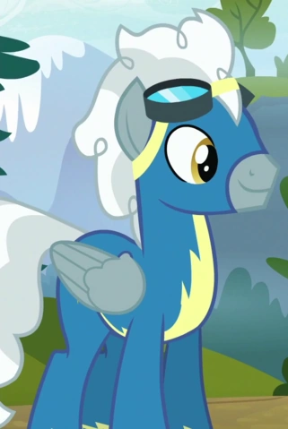 Silver Zoom | Wiki My Little Pony Les amies c'est magique | Fandom