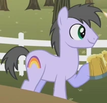 Rainbow Swoop | Wiki My Little Pony Les amies c'est magique | Fandom