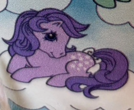 Blossom | My Little Pony G1 Wiki | Fandom