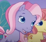 Fizzy Pop/Gallery | My Little Pony G3 Wiki | Fandom