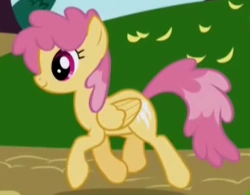 Dizzy Twister | My Little Pony: L'Amicizia È Magica Wiki | Fandom