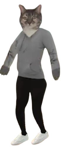 Lulu the Cat | Mylo the Cat Wiki | Fandom