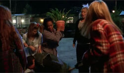 Unnumbered list item 14 | My Name Is Earl Wiki | Fandom