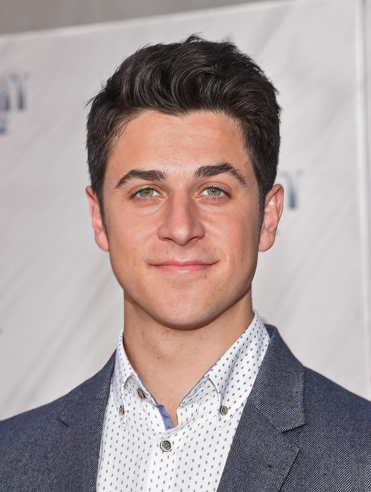 David Henrie | My New Family Wikia | Fandom