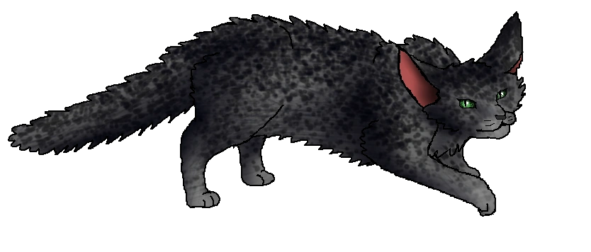 Talonfang | MyOwnWarriors Wiki | Fandom