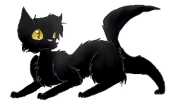 Shadowpaw | MyOwnWarriors Wiki | Fandom