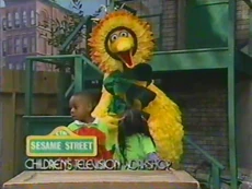 SS Episode 3374 | MyPedia Wikia | Fandom