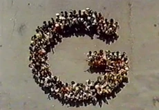 SS Episode 3142 | MyPedia Wikia | Fandom