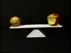 SS Episode 2963 | MyPedia Wikia | Fandom