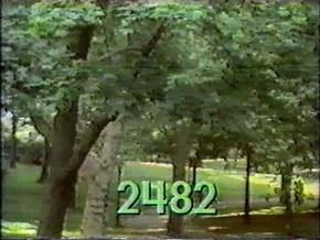 SS Episode 2482 | MyPedia Wikia | Fandom