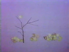 SS Episode 3084 | MyPedia Wikia | Fandom