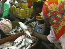 SS Episode 2963 | MyPedia Wikia | Fandom