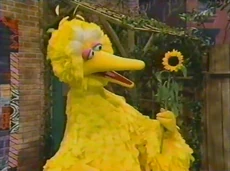 SS Episode 3374 | MyPedia Wikia | Fandom