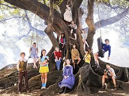 Community tree | My place Wiki | Fandom