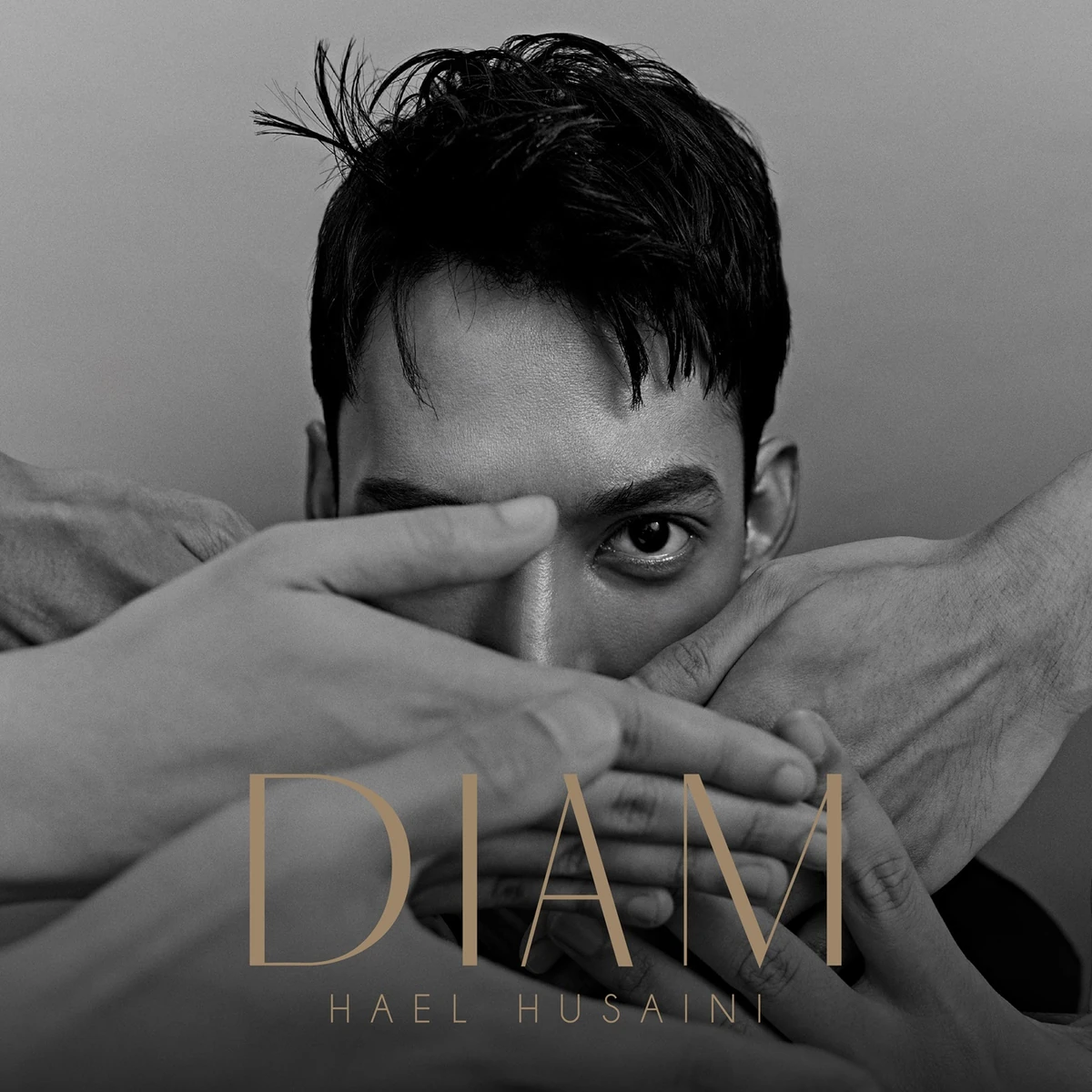 Diam | Malaysian Pop Wiki | Fandom