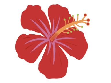 Firdhaus Farmizi | Malaysian Pop Wiki | Fandom