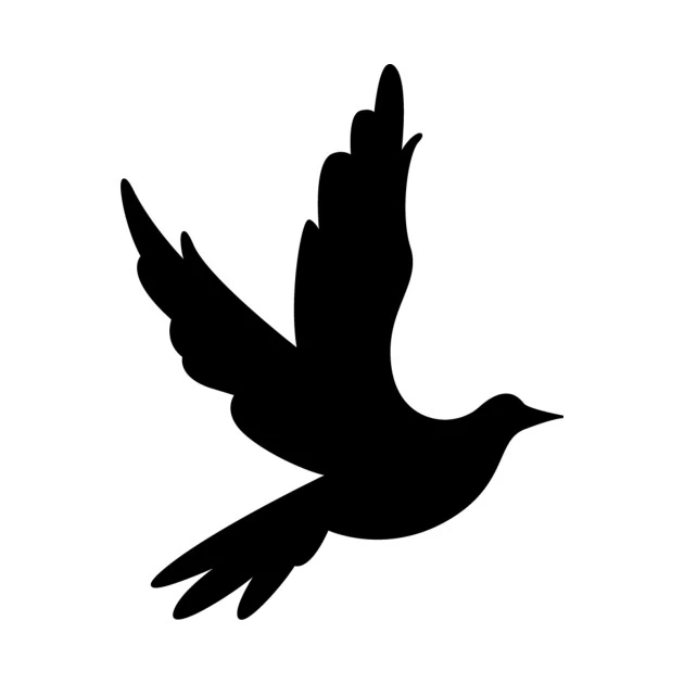 Turto | MyraPedia | Fandom