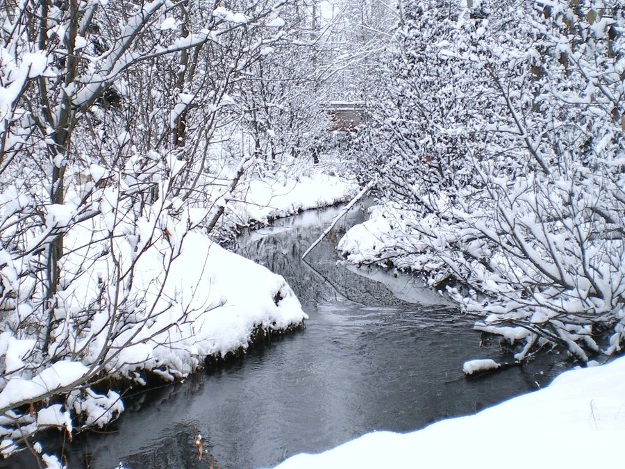 Winter | MyraPedia | Fandom