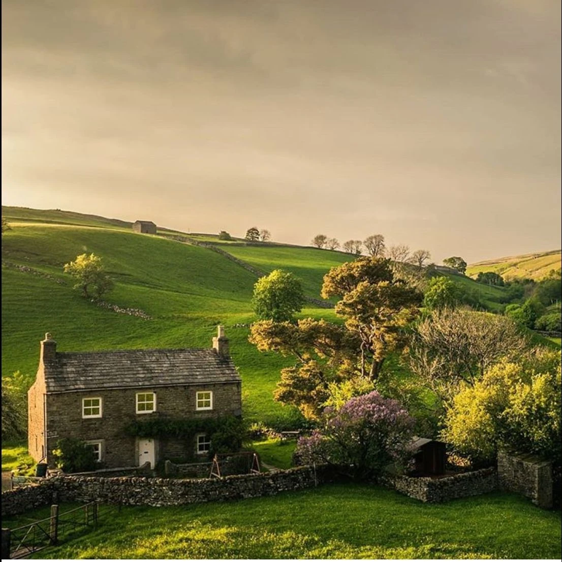 Diameter | The Myriad Wiki | Fandom