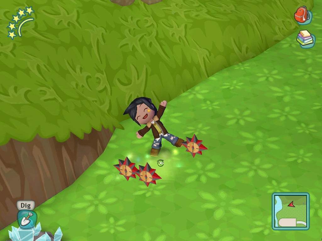 Compass | MySims Wiki | Fandom