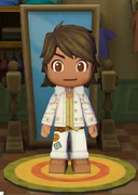 Cheat Codes (MySims) | MySims Wiki | Fandom