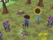 MySims | MySims Wiki | Fandom