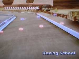Racing School | MySims Wiki | Fandom