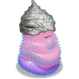 Rare Yelmut | My Singing Monsters Wiki | Fandom