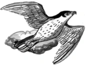 Madge | The Mysterious Benedict Society Wiki | Fandom