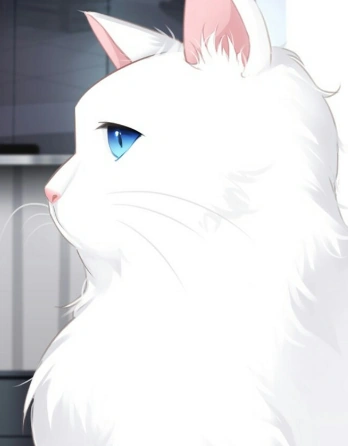 Elizabeth 3rd | Mystic Messenger Wiki | Fandom