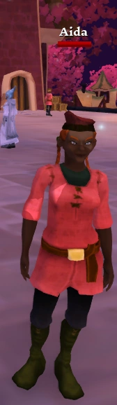 Aida | Villagers and Heroes Reborn – Wiki | Fandom