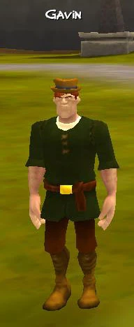 Gavin | Villagers and Heroes Reborn – Wiki | Fandom