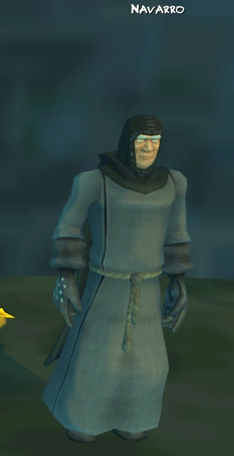 Navarro | Villagers and Heroes Reborn – Wiki | Fandom